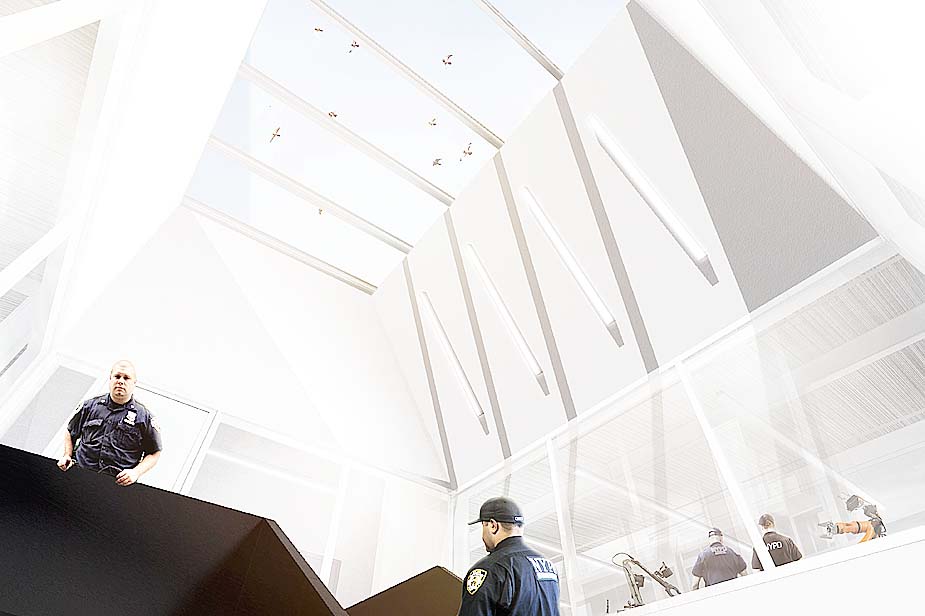 Rice+Lipka Architects